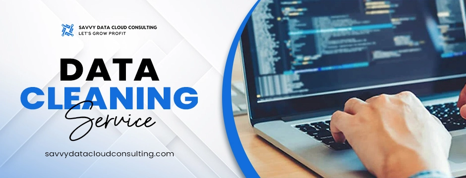 Why Every Business Needs a Professional Data Cleaning Service ...