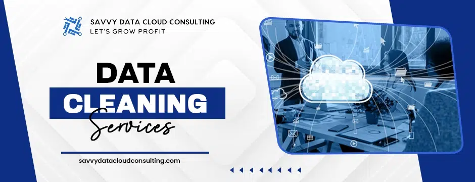 Introduction to Data Cleaning Services - Salesforce Partner and ...